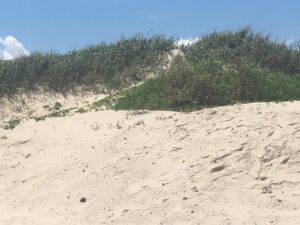 Thieves’ Stew – the recipe | Thieves' Stew